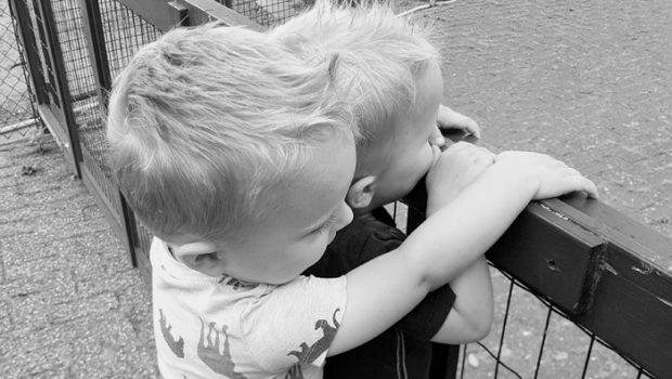 Tweeling peuters - opvoeden - ontwikkeling tweelingen | BABYLABEL